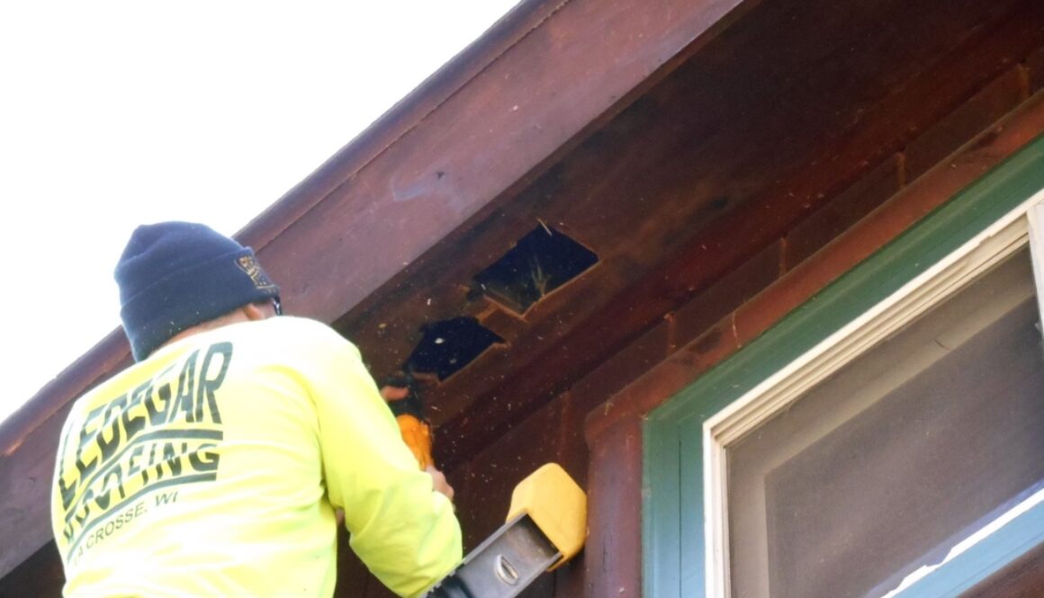 Identifying Damaged Soffit and Fascia: What to Do